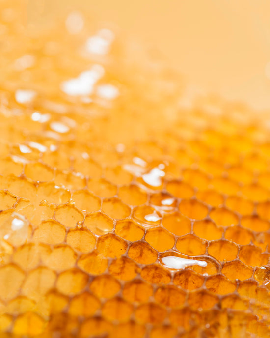 About the hive – Spirited Hive